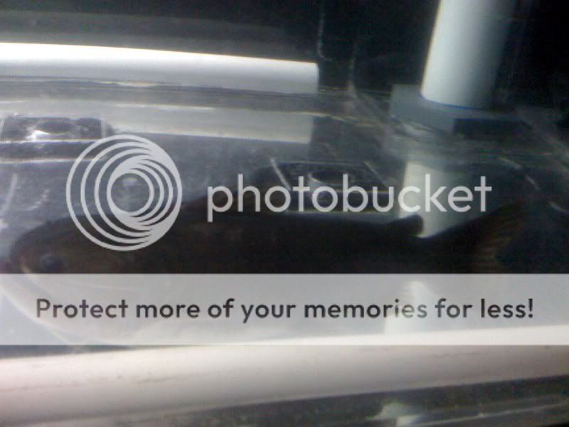 8" gulper for cheap | MonsterFishKeepers.com