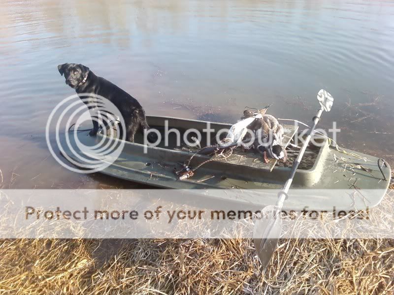 Duck boats | IFish Fishing Forum