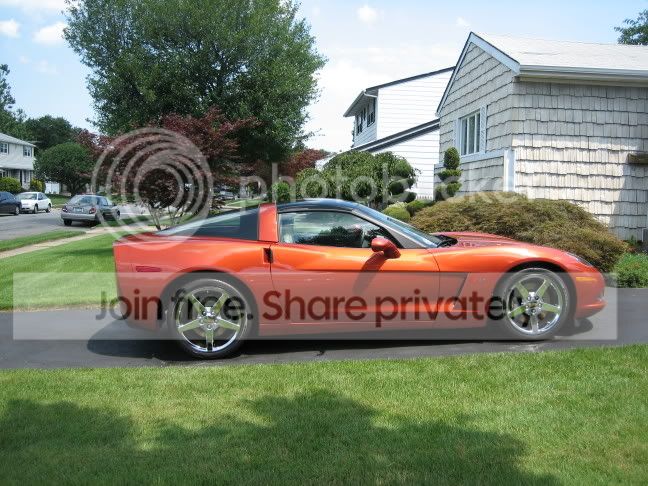 finally got new digital camera! - CorvetteForum - Chevrolet Corvette ...